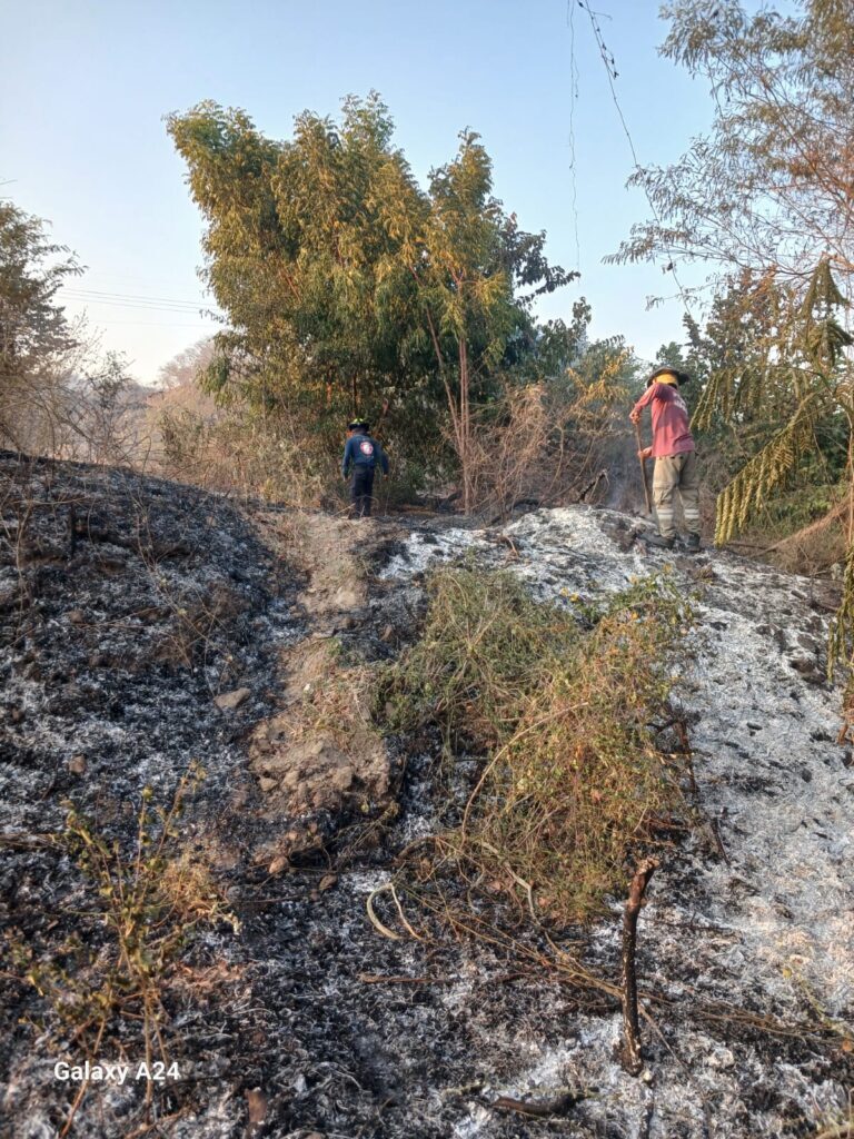 Gobierno de Acapulco suma 160 incendios forestales extinguidos en lo que va del año - anews