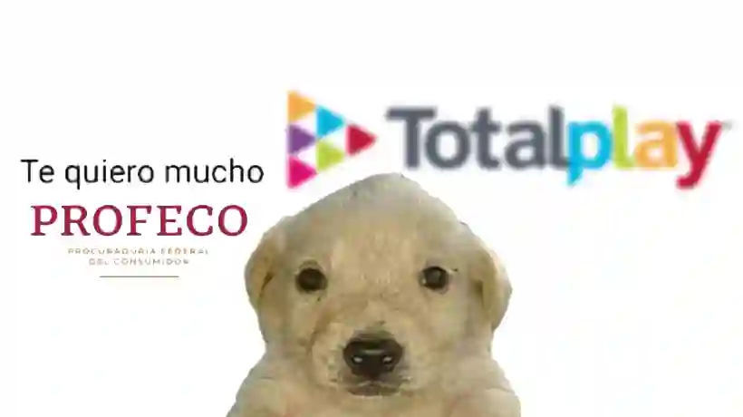 Profeco advierte a Totalplay: contratos no pueden modificarse - anews