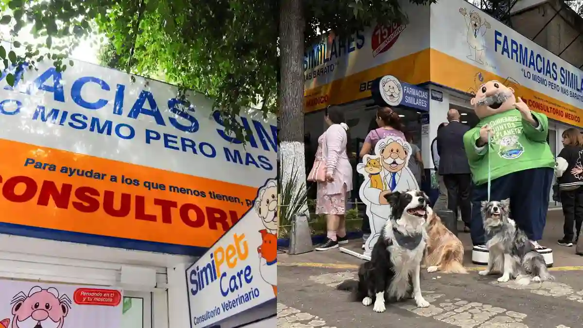 Abre Farmacias Similares su primer consultorio SimiPet Care en CDMX - anews